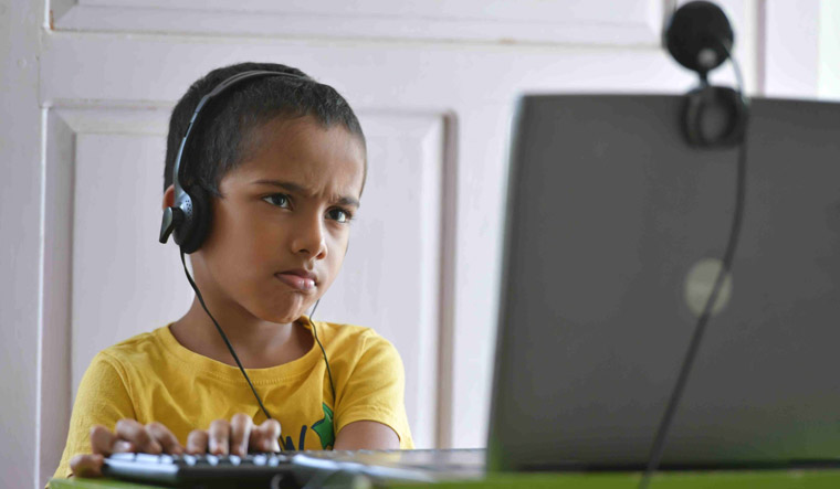 Curriculum Aims - Brain Field School